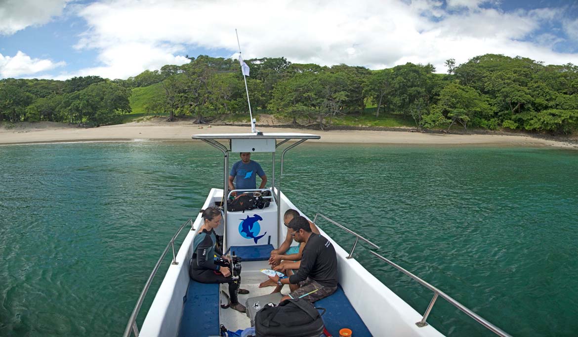 Misión Tiburones - Origen Foundation